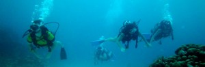 Diving in Colombia: Top 5 Locations - Colombia Travel Blog by See ...